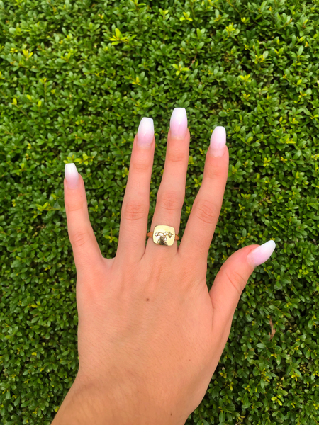 Leo Lion Peridot & Diamond Constellation Signet Ring in 14K Yellow Gol ...